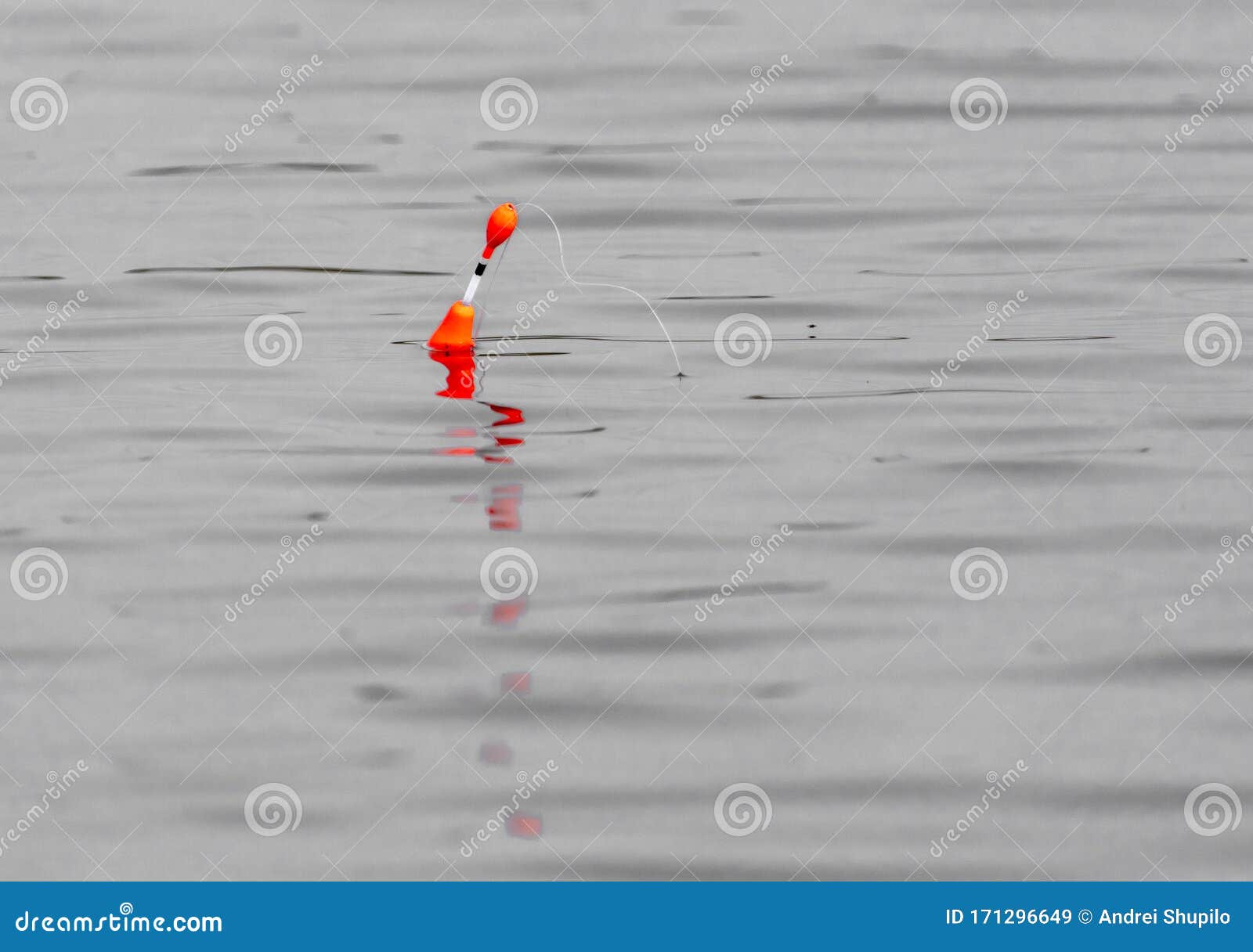 Float for Fishing on the Surface of the Water Stock Image - Image of ...