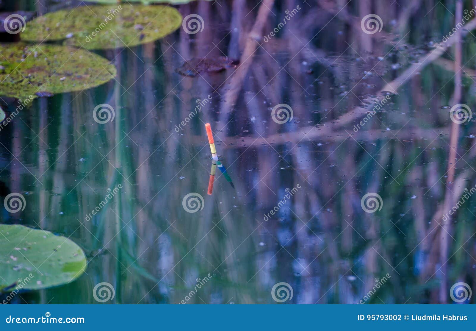 Float for Fishing on the Water Stock Photo - Image of blue, angling ...