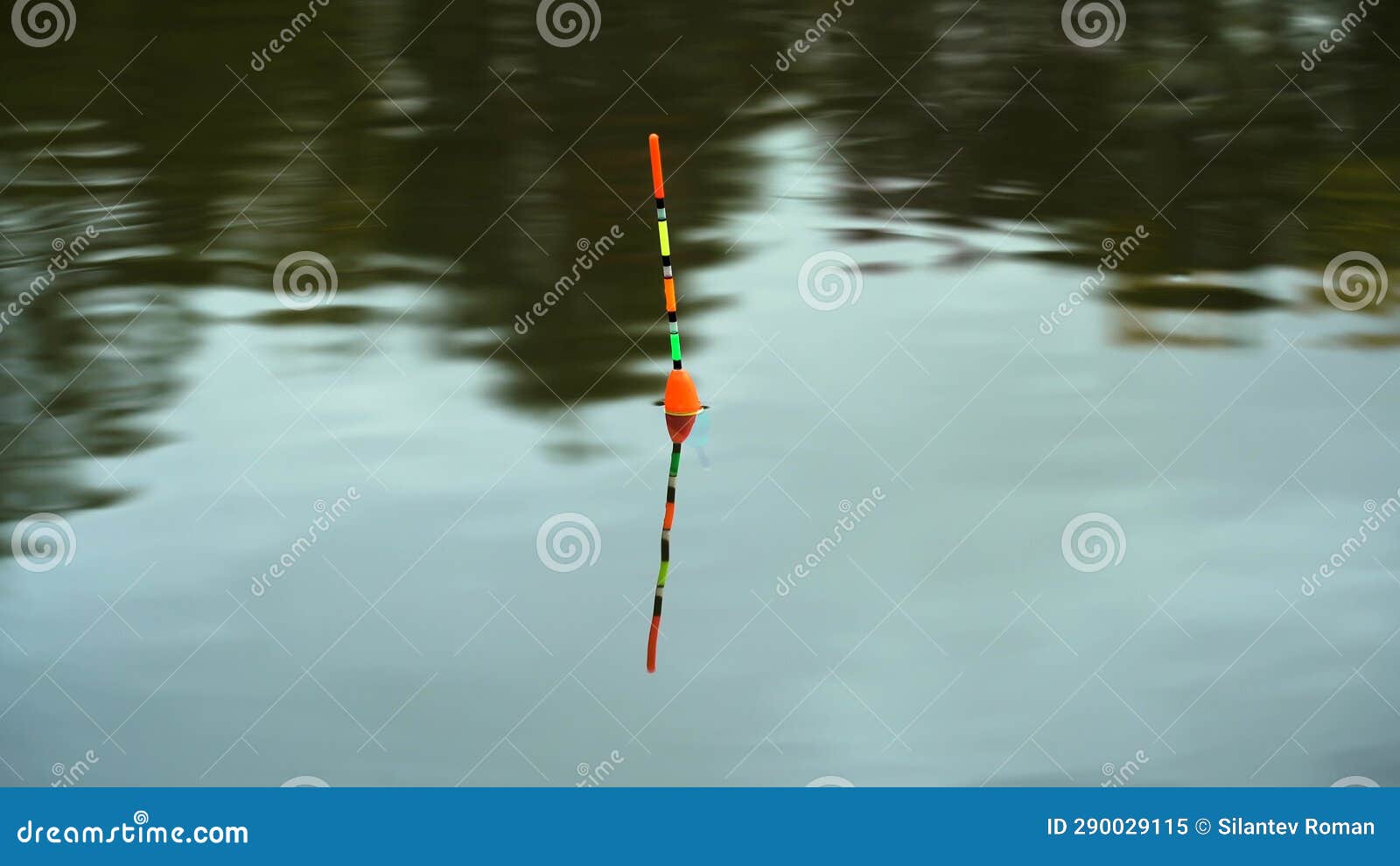 The Float Floats on the Surface of the Water with Bite Signals on the ...
