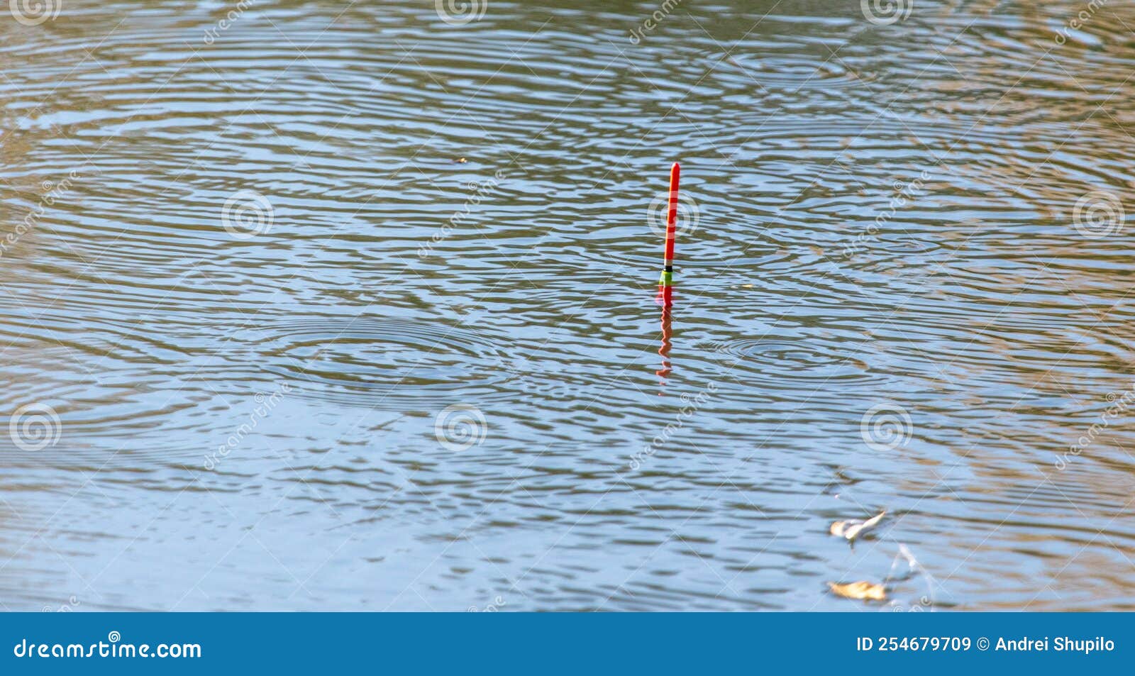 The Float Floats on the Surface of the Water. Stock Image - Image of ...