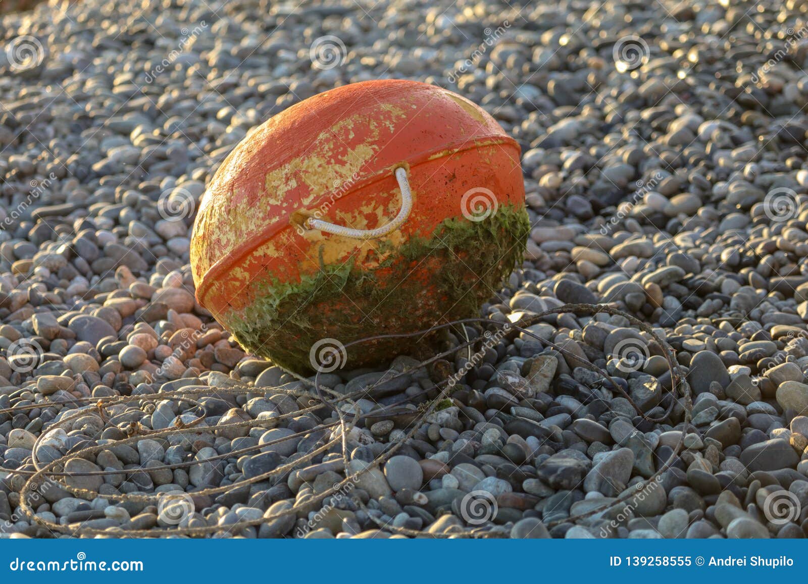 The Float Lies on a Pebble by the Sea Stock Image - Image of ...