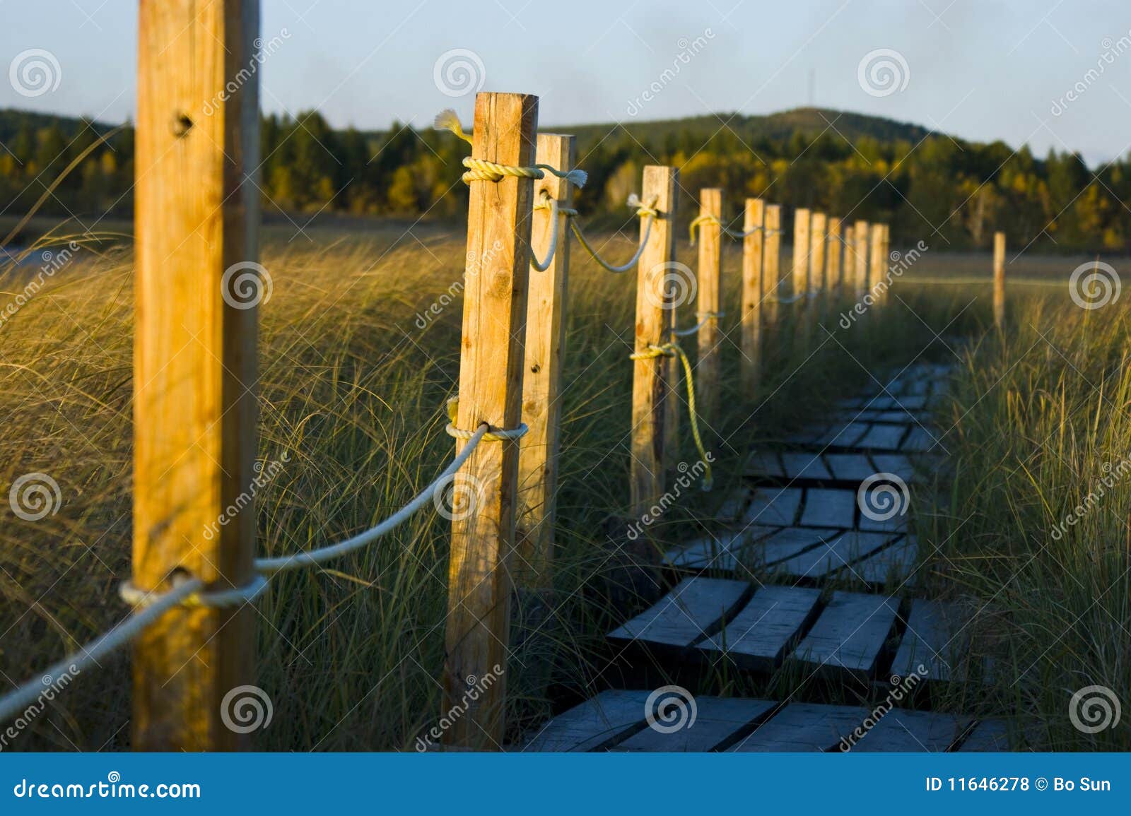 Float path in marsh stock photo. Image of sunset, marsh - 11646278