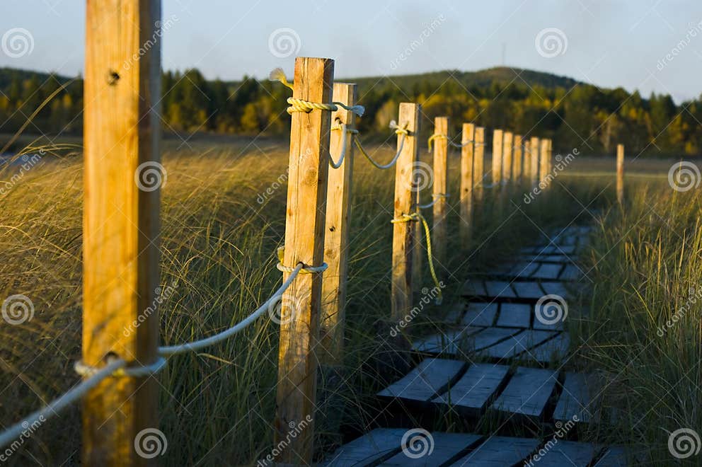 Float path in marsh stock photo. Image of sunset, marsh - 11646278