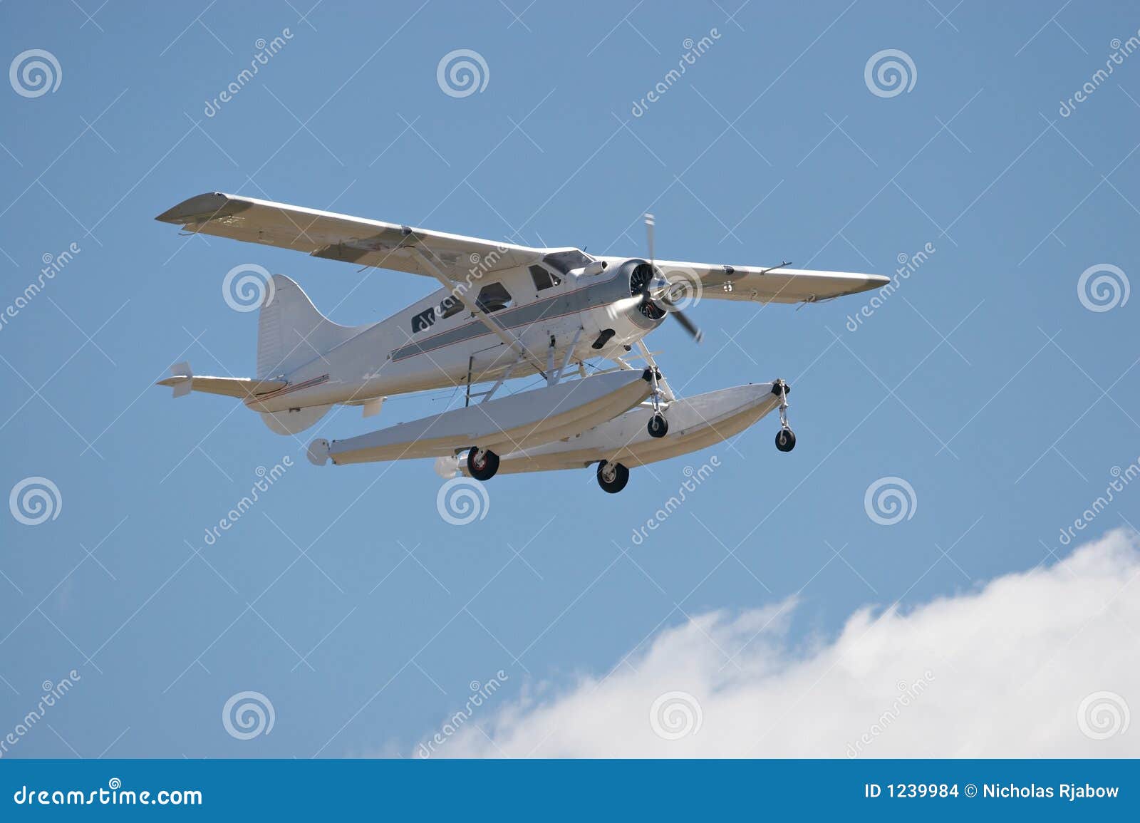 Float Plane stock photo. Image of tail, plane, cabin, engine - 1239984