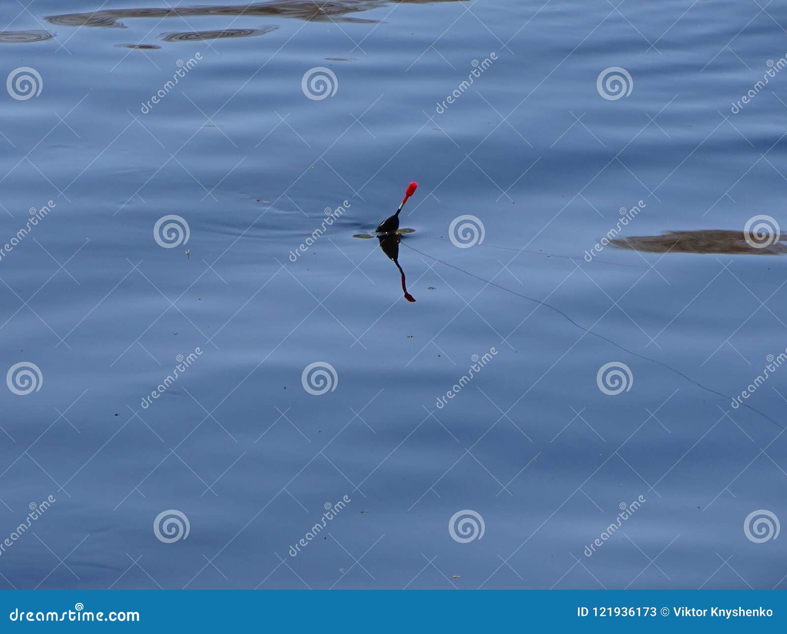 Float on the River Surface. Stock Image - Image of barely, float: 121936173