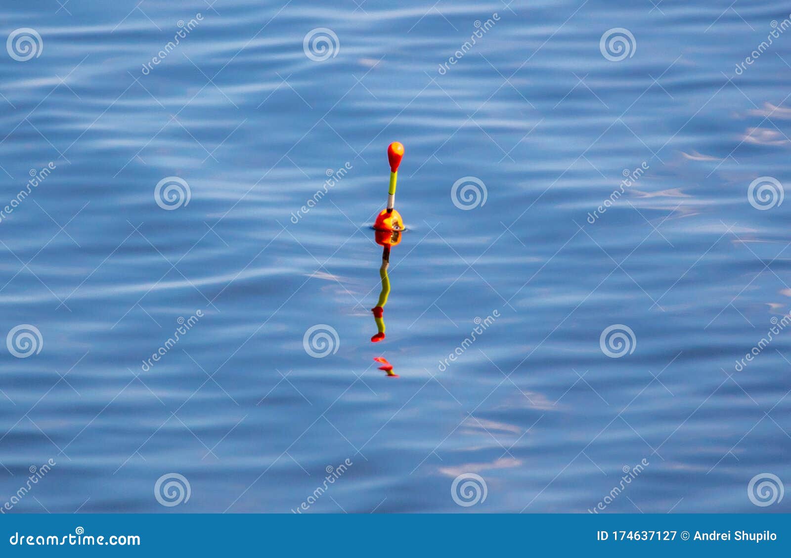 Float on the Surface of the Water Stock Image - Image of reflection ...