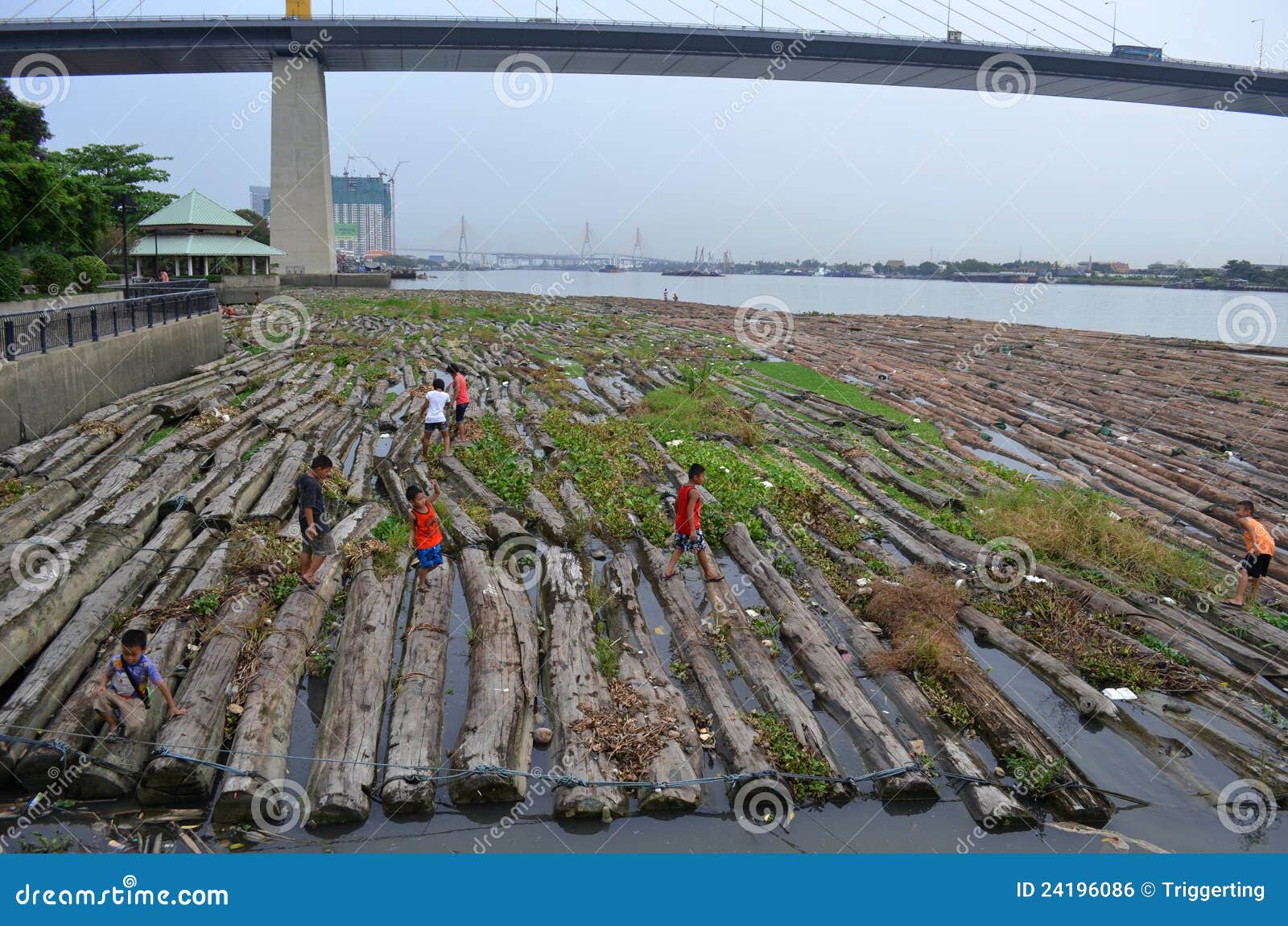 Float timber editorial photo. Image of timber, water - 24196086