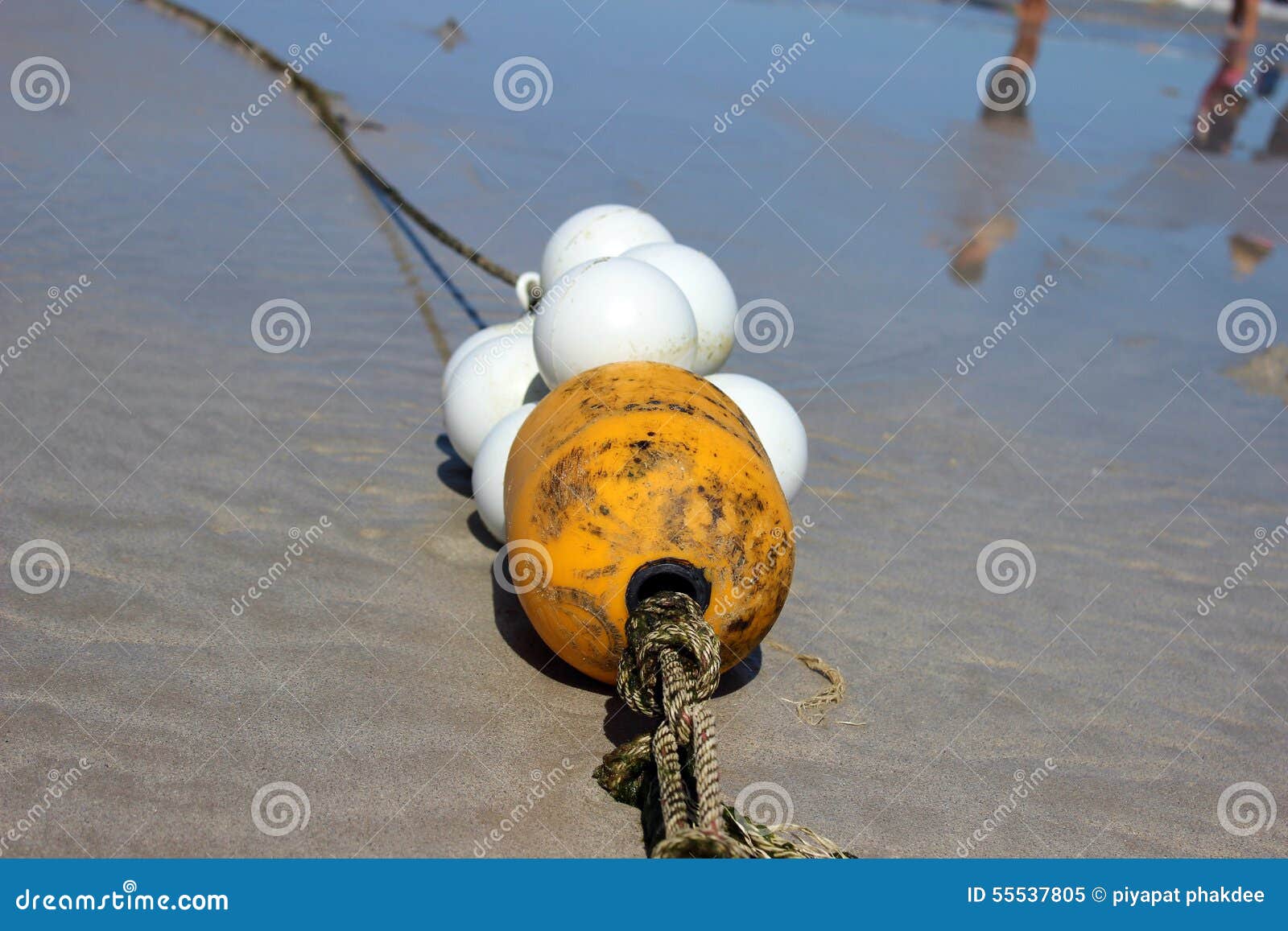 Float on the Beach Conformable Life Alone Stock Image - Image of life ...
