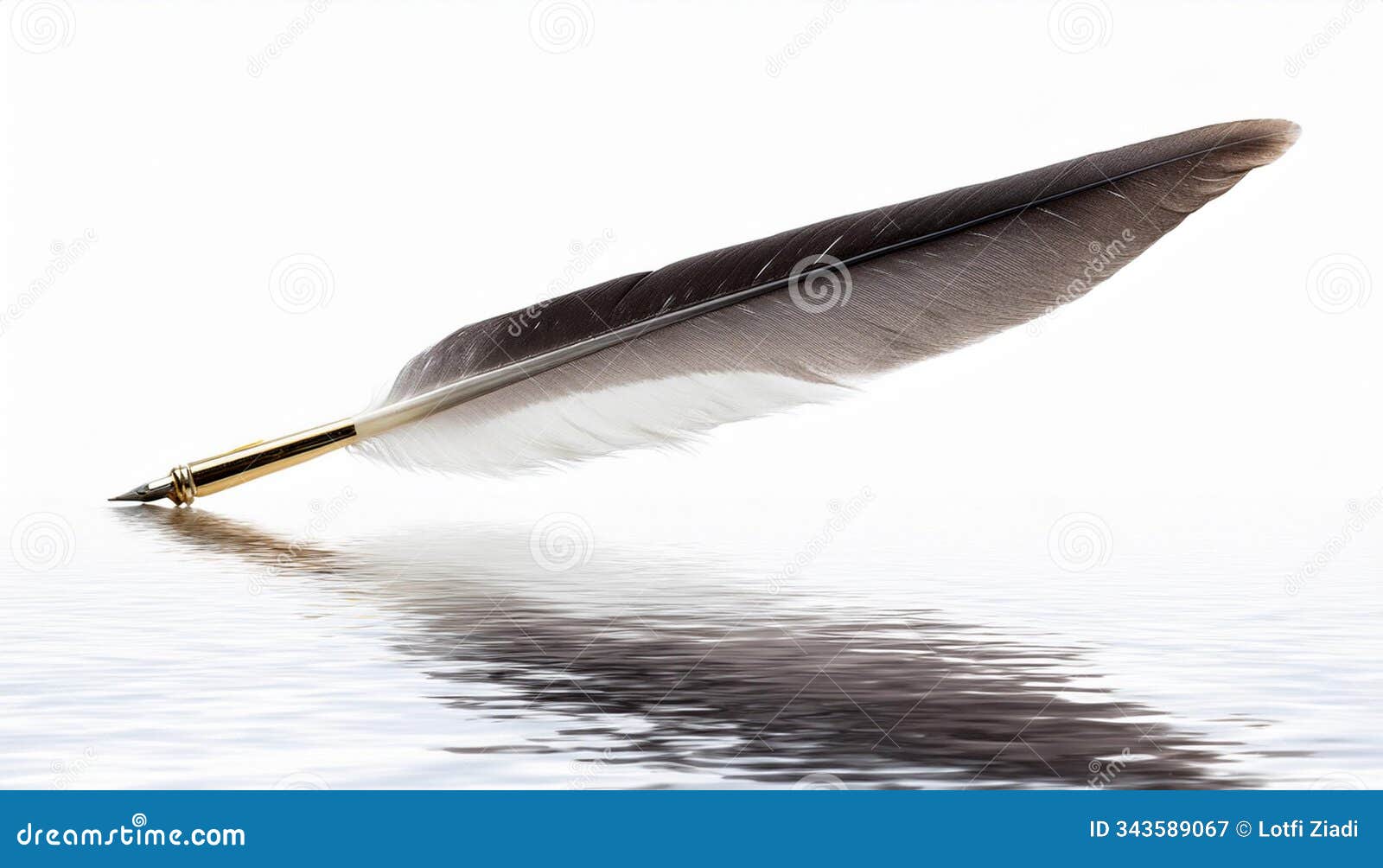Floated Quill Pen Isolate On White Background PNG Stock Illustration ...