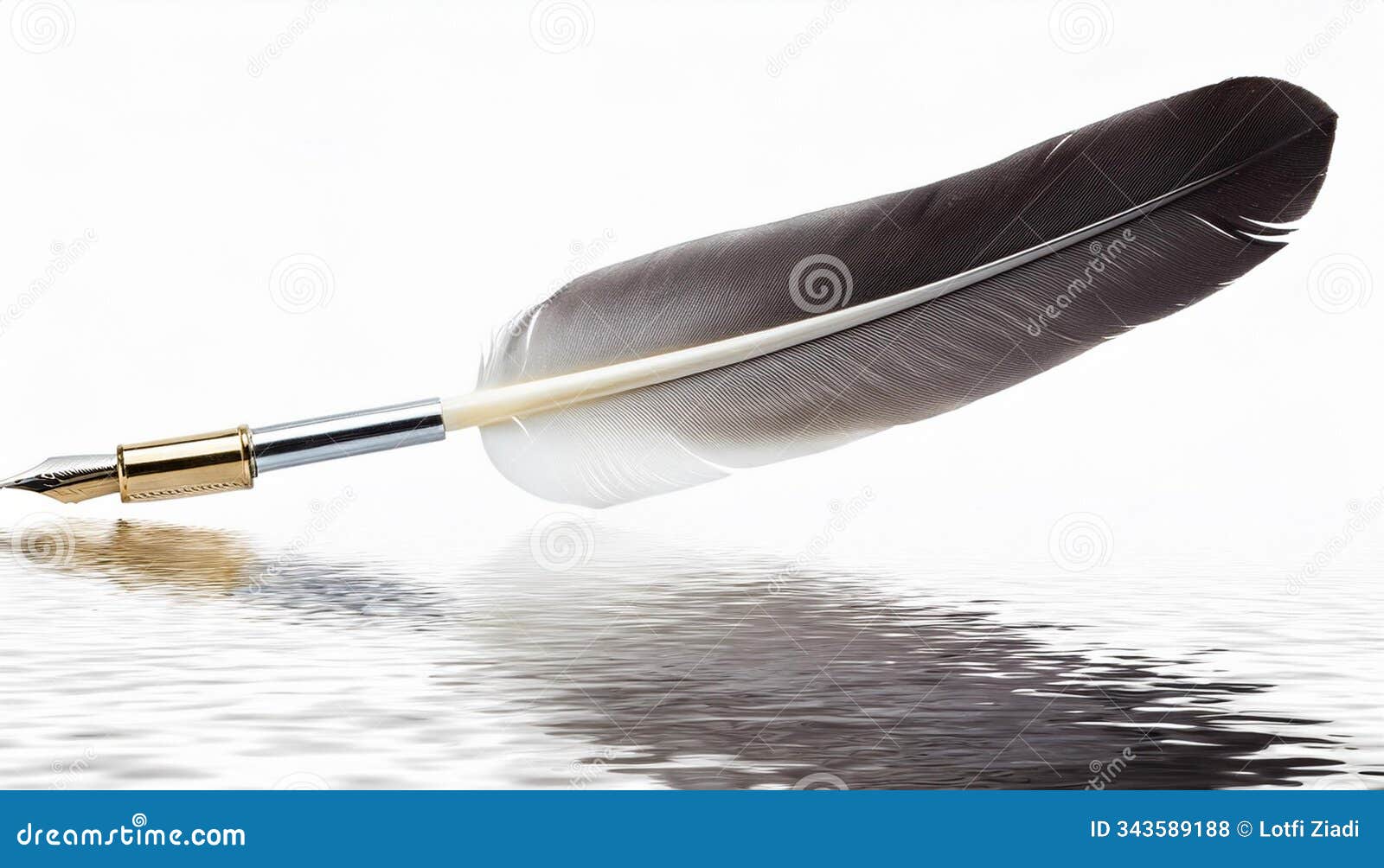 Floated Quill Pen Isolate On White Background PNG Royalty-Free ...