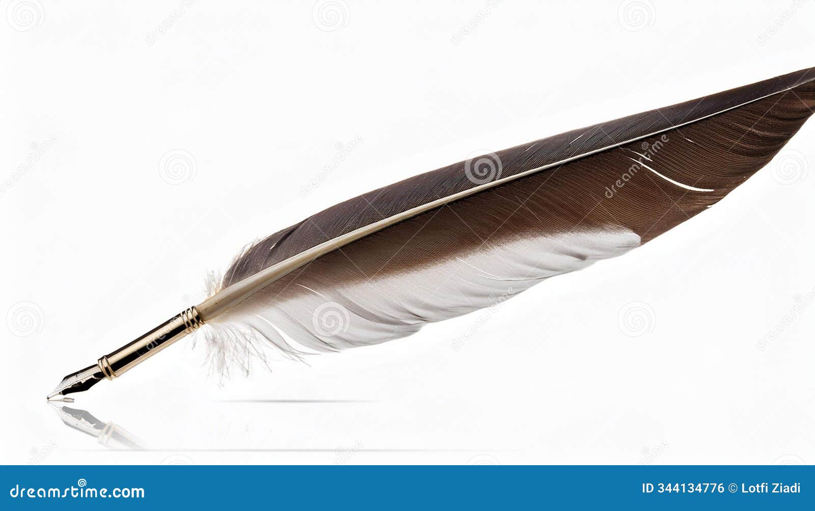 Floated Quill Pen Isolate On White Background PNG Stock Illustration ...