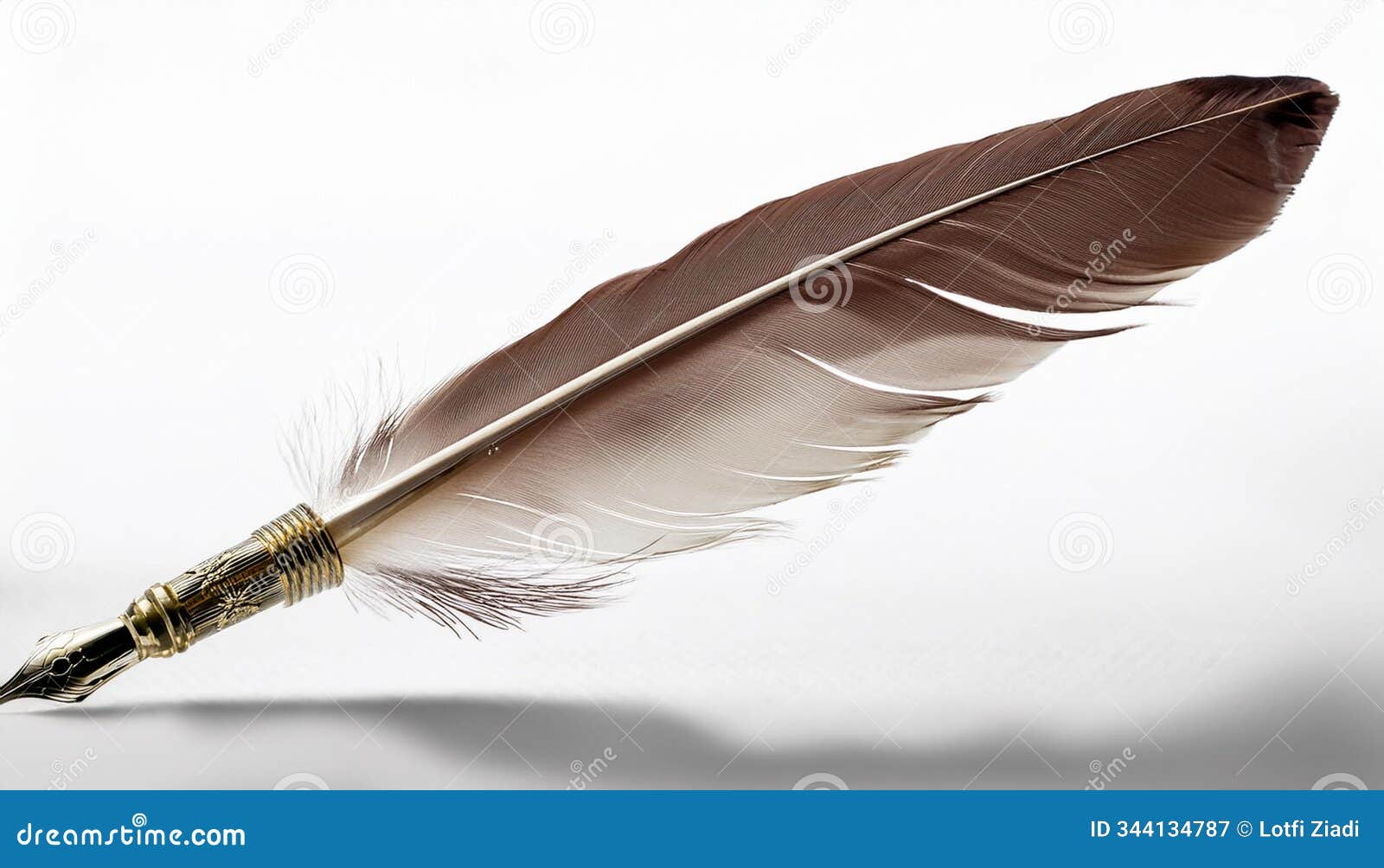 Floated Quill Pen Isolate On White Background PNG Royalty-Free ...
