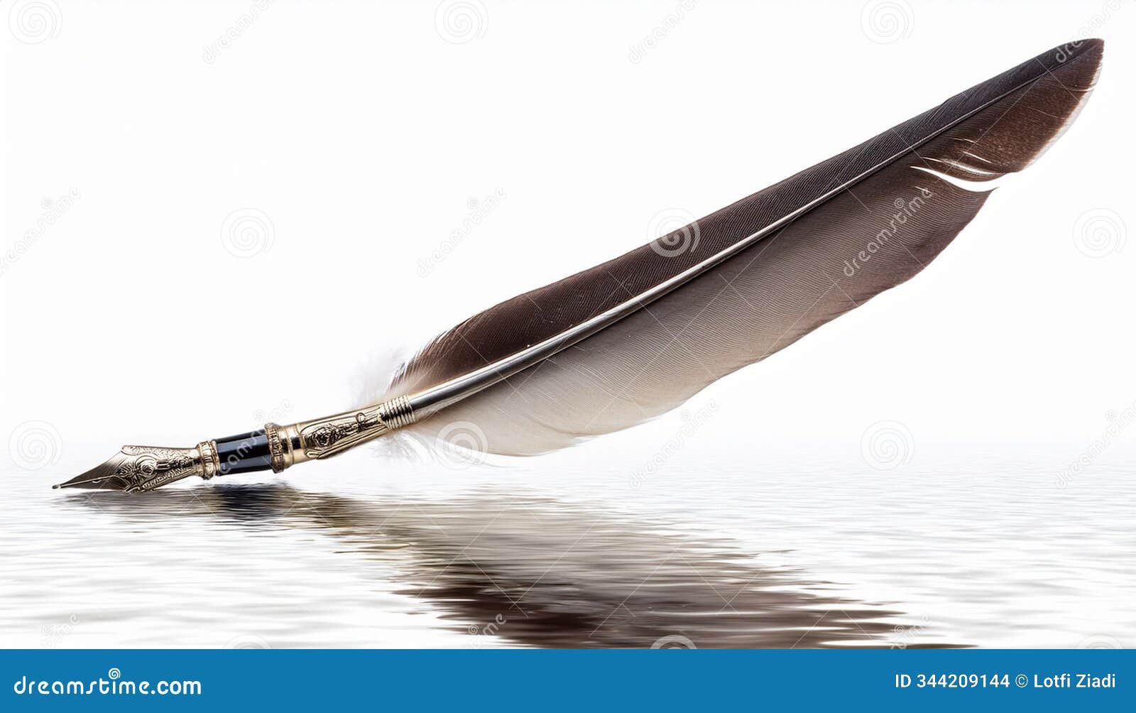 Floated Quill Pen Isolate On White Background PNG Stock Illustration ...