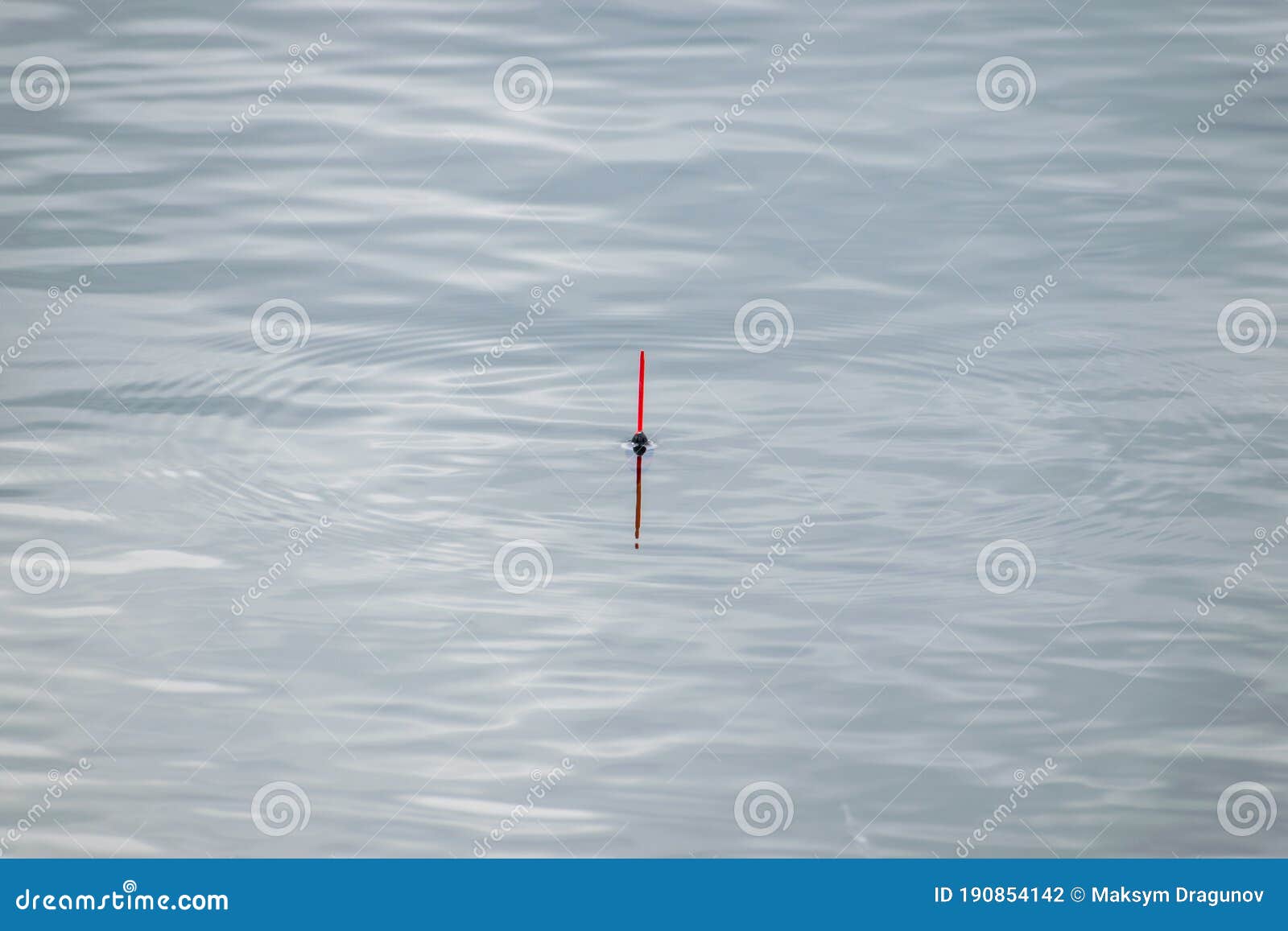 Floater on surface stock photo. Image of leisure, fish - 190854142
