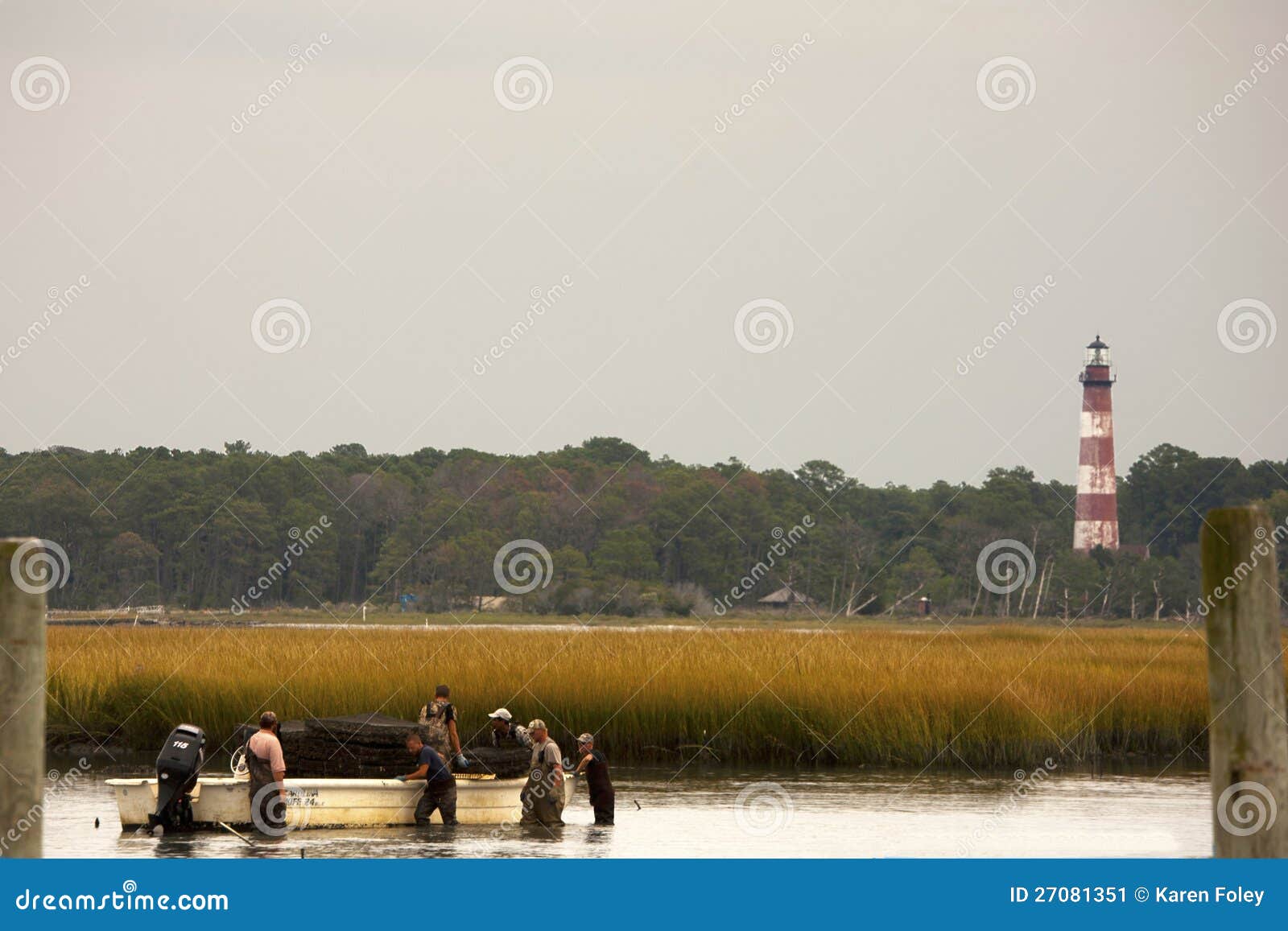 Fishermen with Floaters Working Oyster Traps Editorial Photo - Image of ...