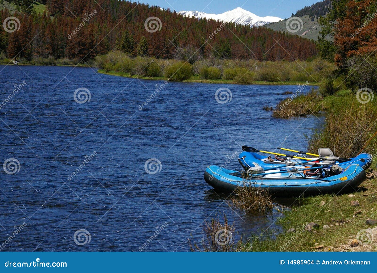 Floating stock photo. Image of summer, stream, water - 14985904