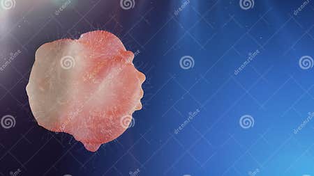 Floating Bacteria Light Blue Background. Viruses Causing Infection and ...