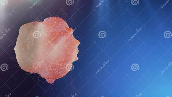 Floating Bacteria Light Blue Background. Viruses Causing Infection and ...