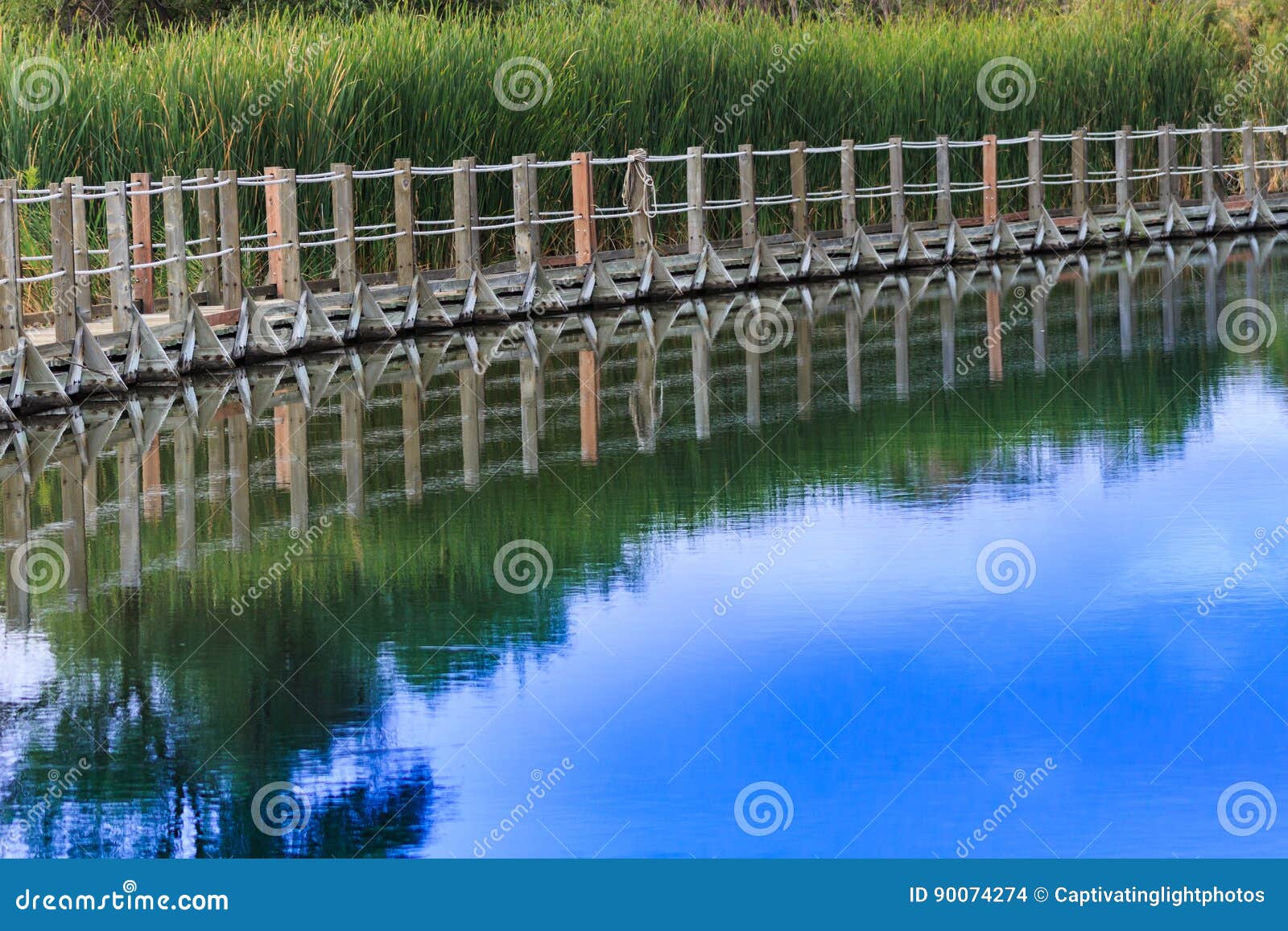 Floating Boardwalk Bridge On The Lake Royalty-Free Stock Image ...