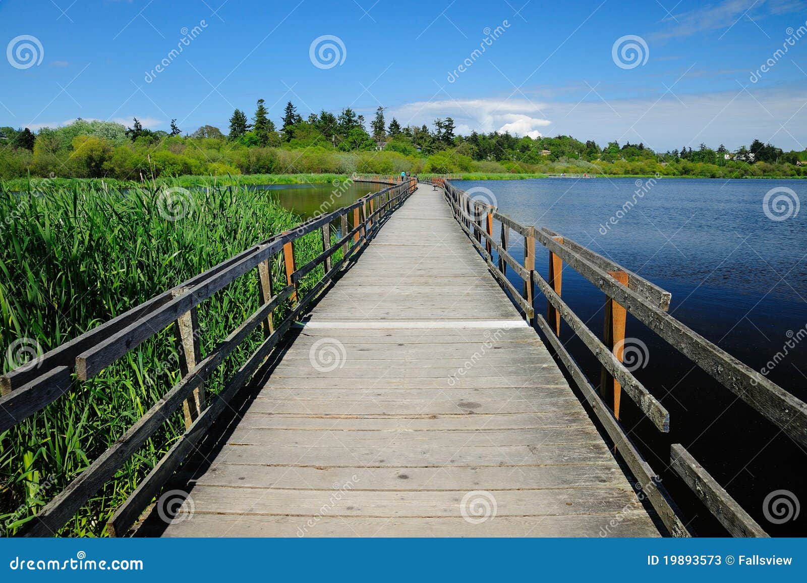 Floating Bridge In Winter Royalty-Free Stock Image | CartoonDealer.com ...
