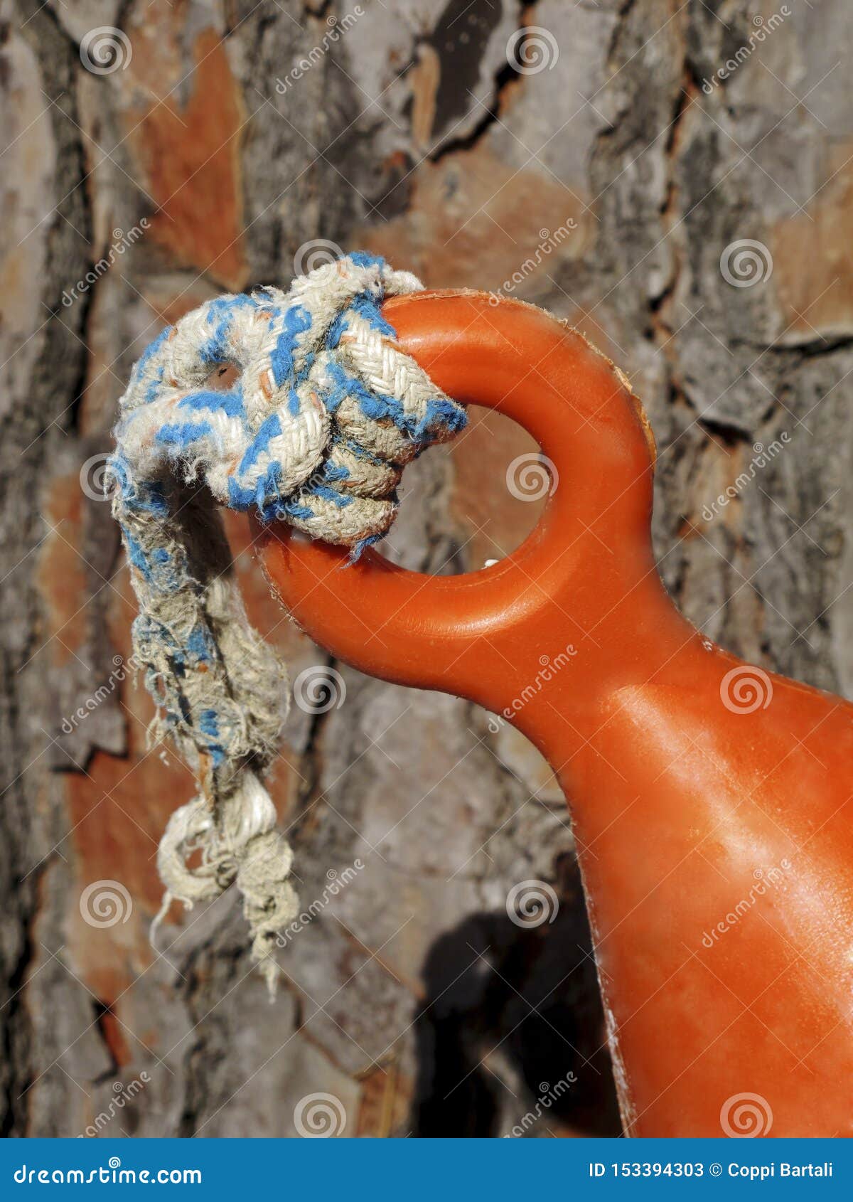 Broken Rope Stock Photography | CartoonDealer.com #14841854
