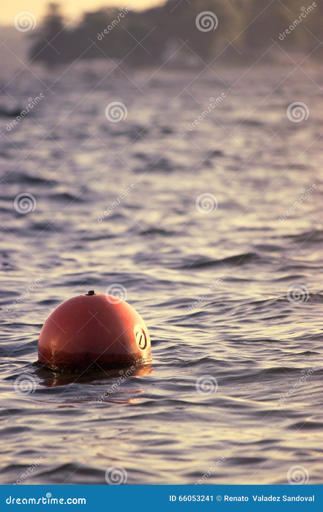 FLOATING BUOY stock image. Image of swim, buoy, beach - 66053241