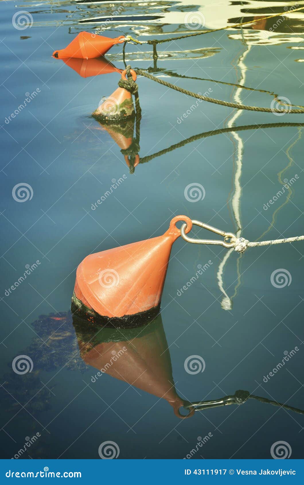 Floating Buoy On A Beach. Floating Buoy Ball For Safety Stock ...