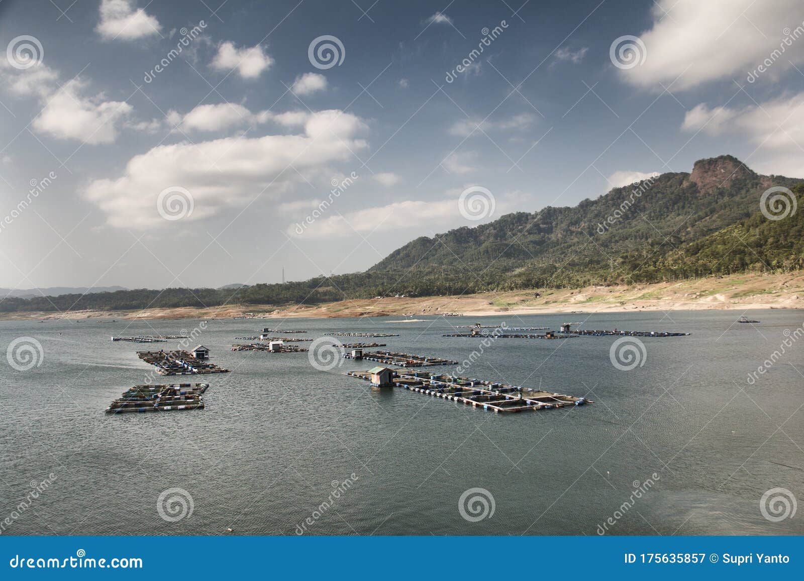 Floating Cages on a Dam at Daylight Stock Image - Image of cages, cage ...
