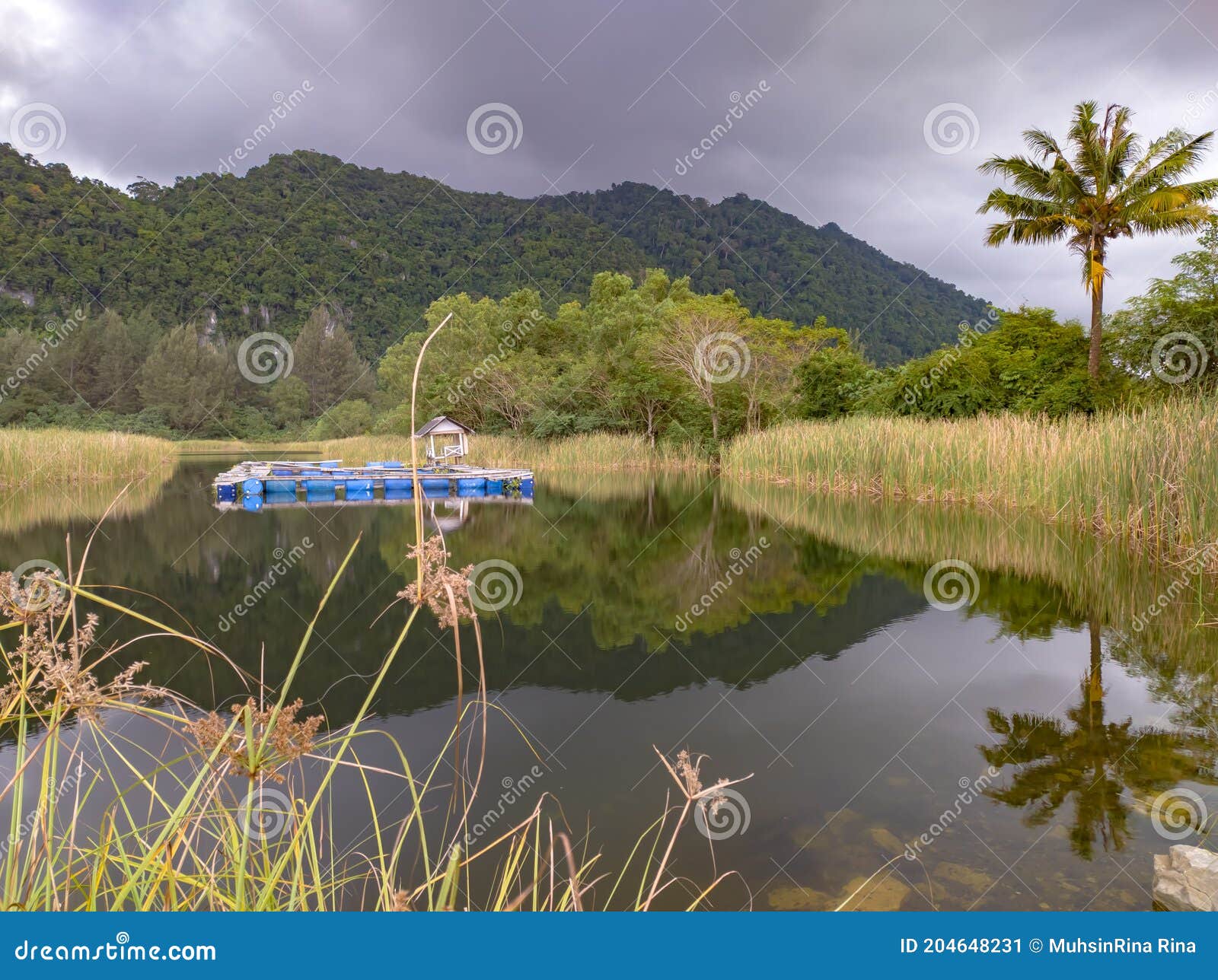 Floating Cages in Lakes, Fish Farming, Aceh Indonesia Stock Image ...