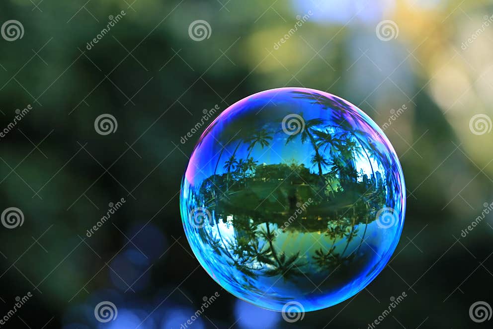 Floating Colorful Soap Bubble with Coconut Palms Reflection, Macro ... Floating Colorful Soap Bubble with Coconut Palms Reflection, Macro ...