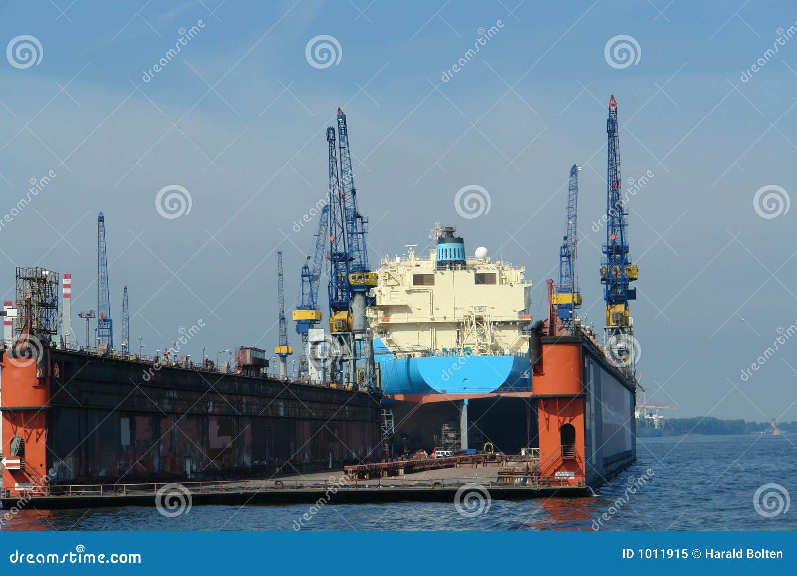 Old Floating Dock Covered In Plants Stock Photography | CartoonDealer ...