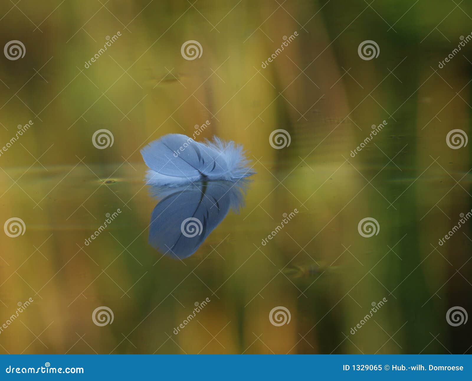 Floating feather stock image. Image of floating, loose - 1329065
