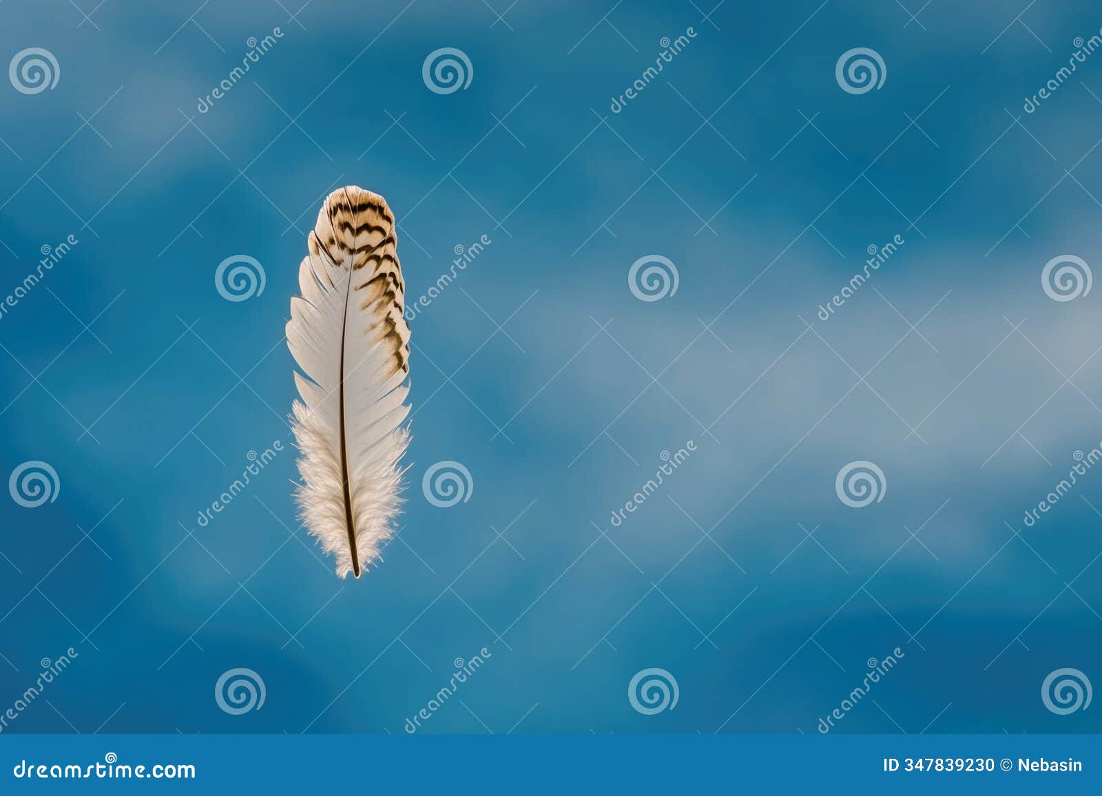 Floating Feather in Blue Sky with Cloud Background Stock Illustration ...