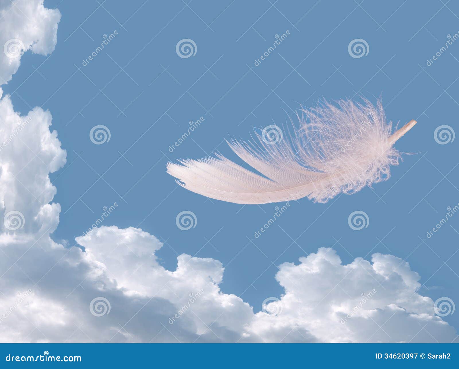 Floating Feather Over Sky - Lightness, Freedom Concept Stock Image ...