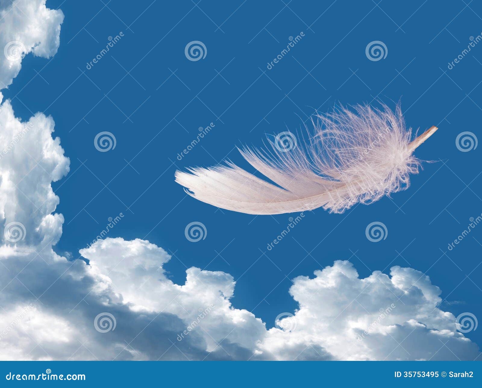 Floating Feather Over Sky - Lightness, Freedom Concept Stock Image ...