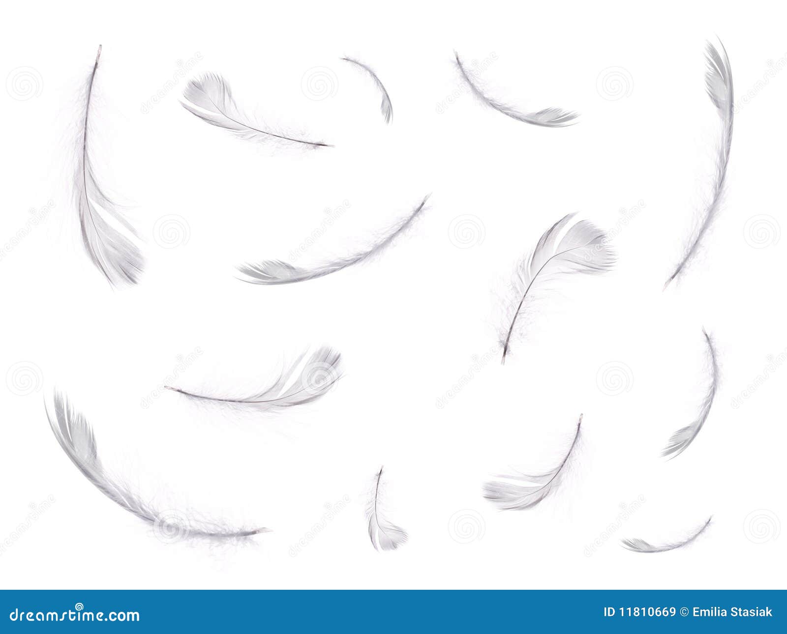 Falling Feather Sketch