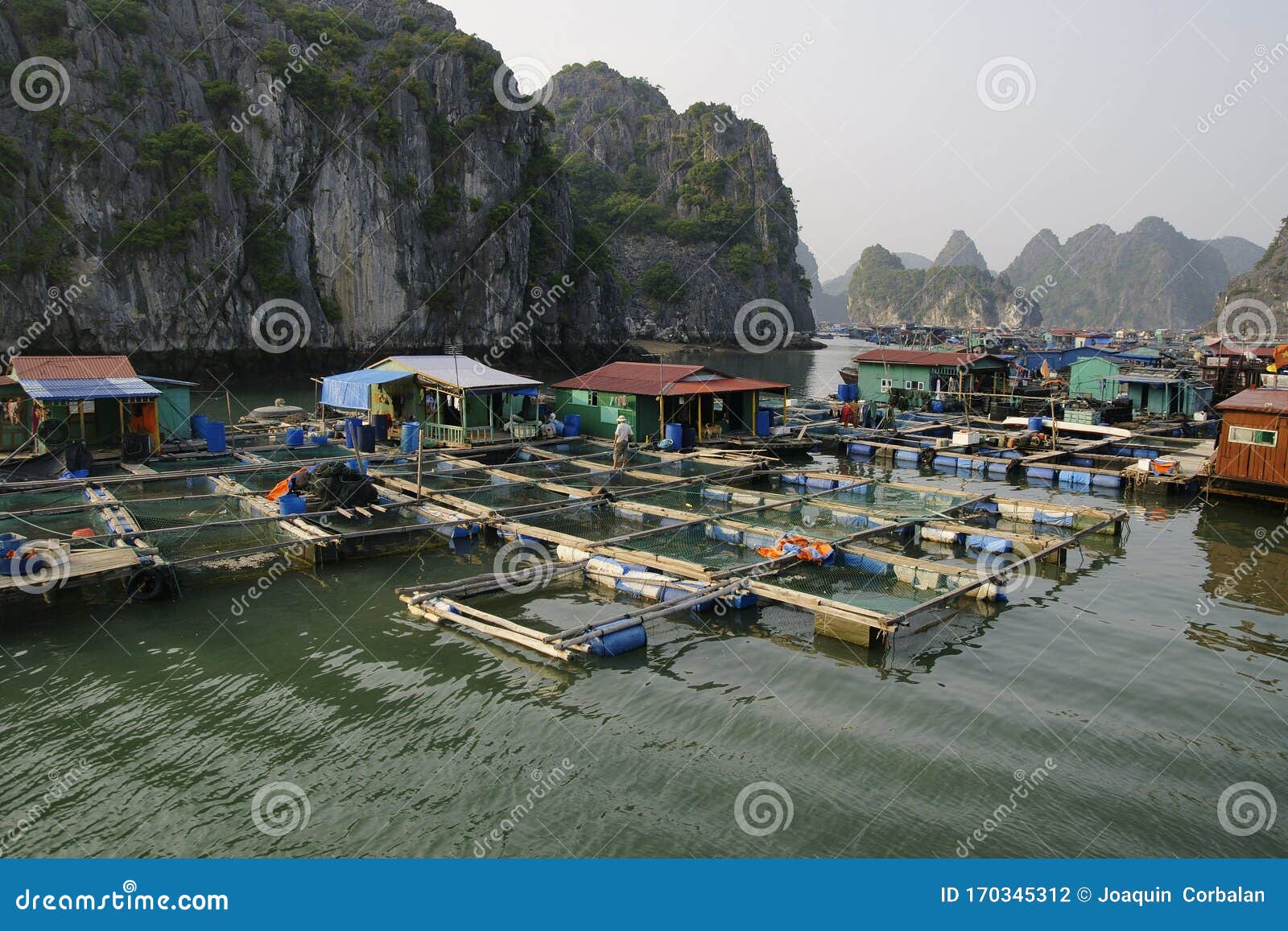 Floating Fish Farm in the Mekong River Editorial Photography - Image of ...
