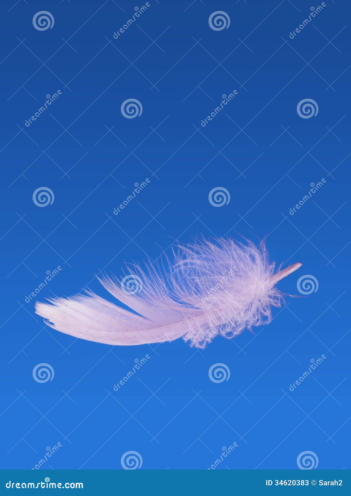 Floating Fluffy Feather - Weightless, Soft and Light Stock Image ...