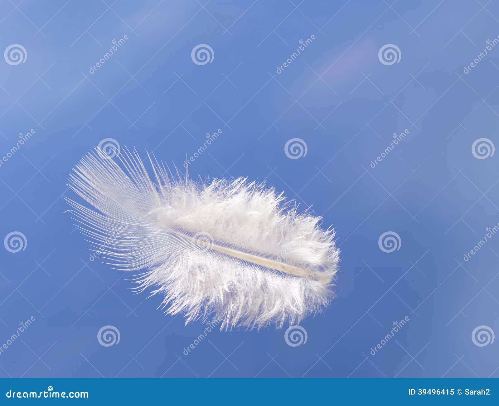 Floating Fluffy Feather - Weightless, Soft and Light Stock Image ...
