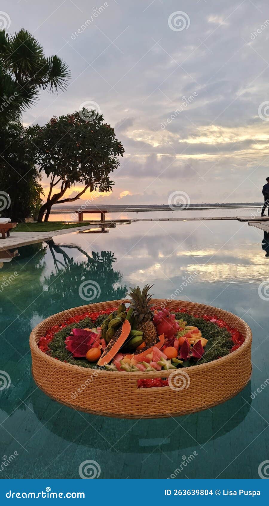 Floating fruit on the pool stock photo. Image of floating - 263639804