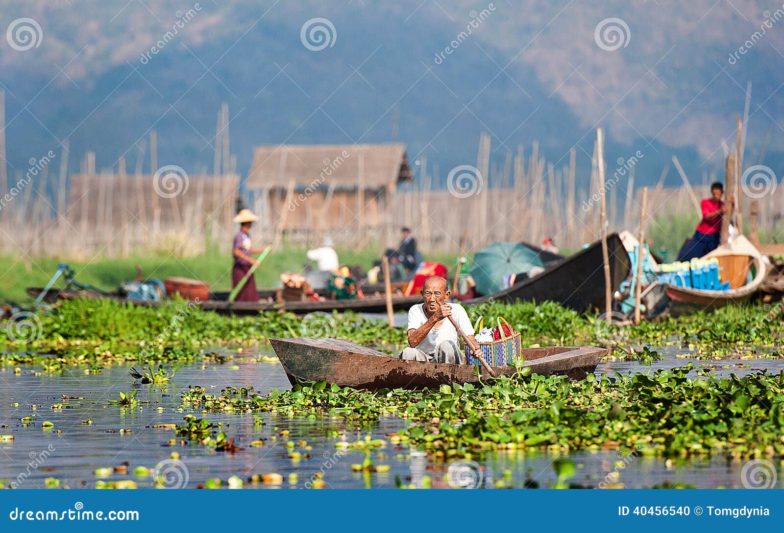 Floating Gardens And Stilt House On The Lake Inle Myanmar Editorial ...
