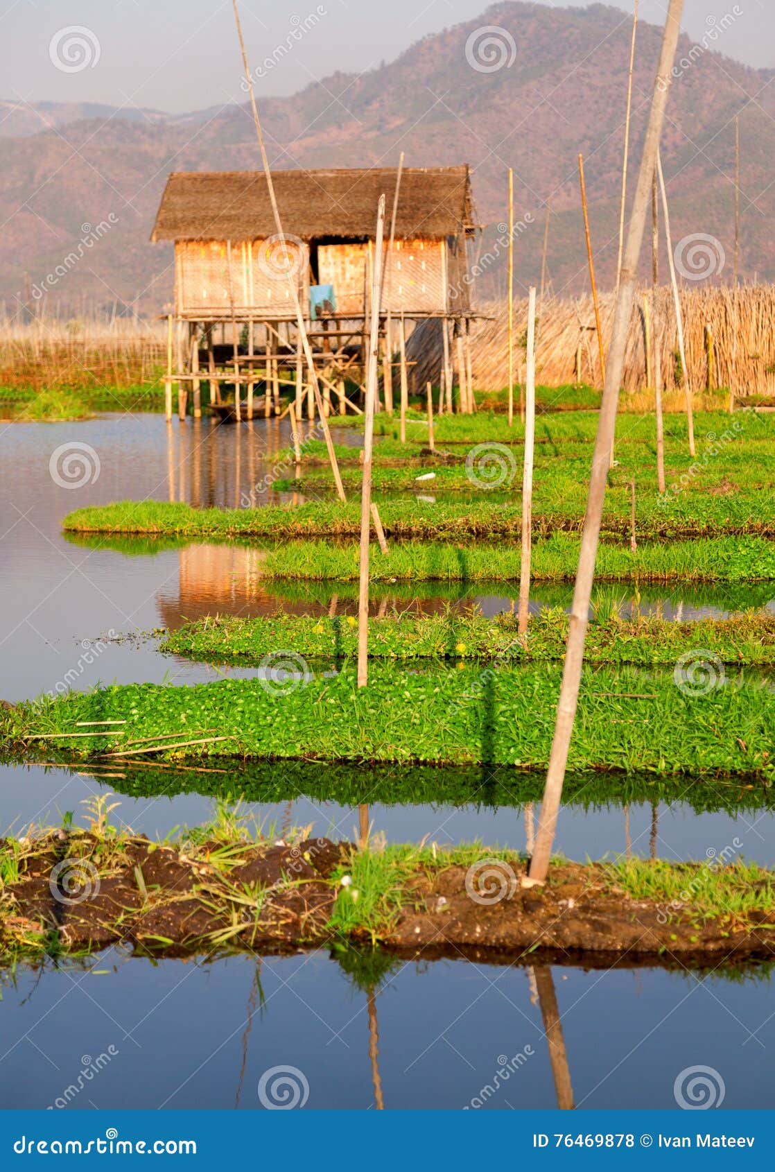 Floating Gardens in Myanmar Stock Photo - Image of scene, tourism: 76469878