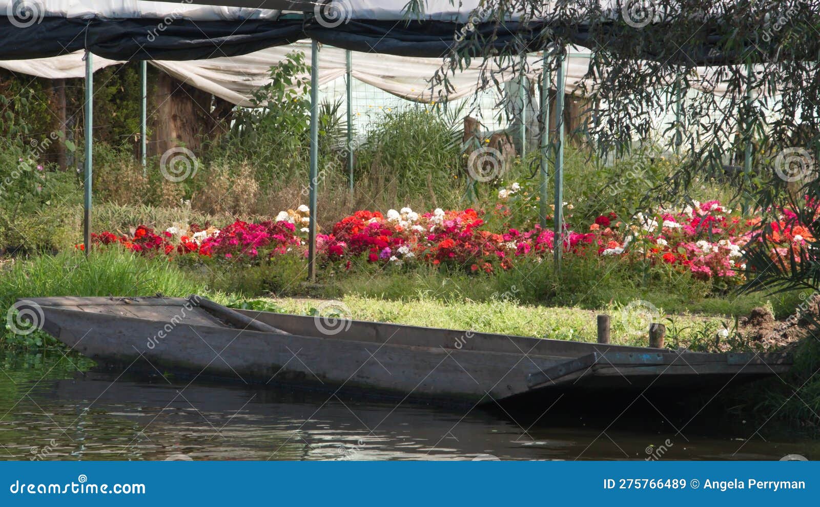Floating Gardens in Xochimilco Stock Image - Image of flowers, wetland ...