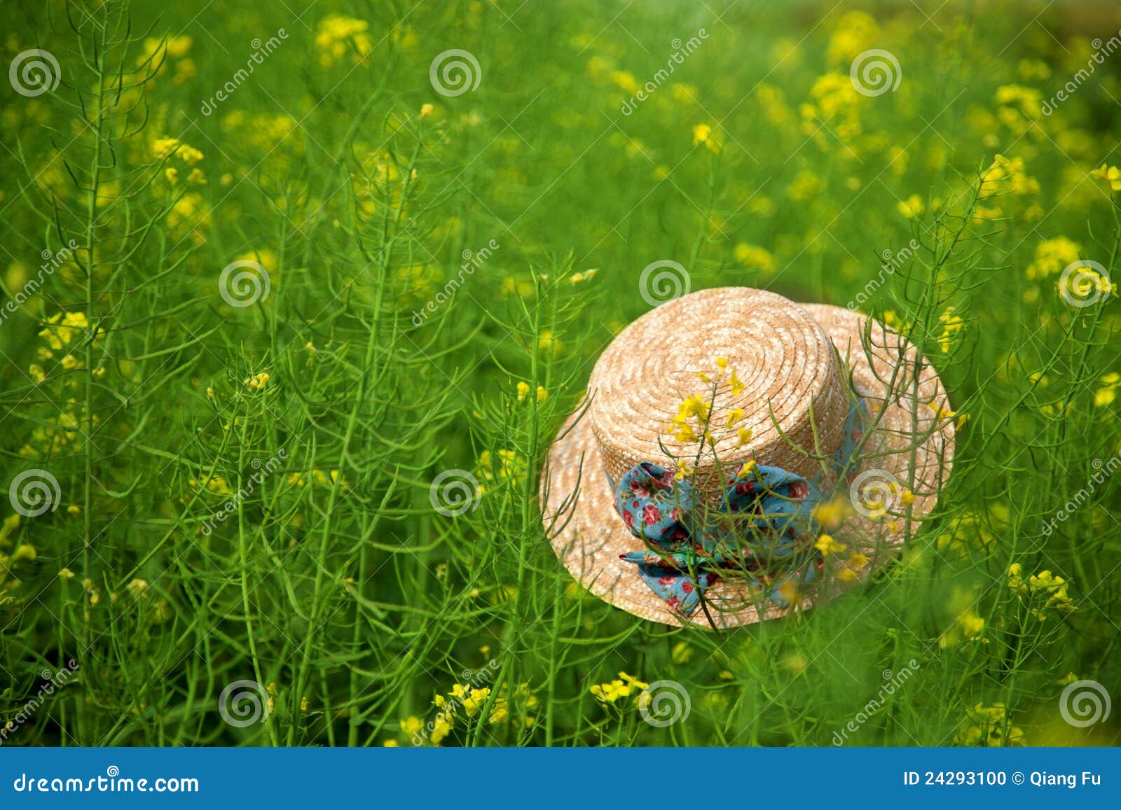 Floating Hat in Flower Field Stock Photo - Image of float, decoration ...