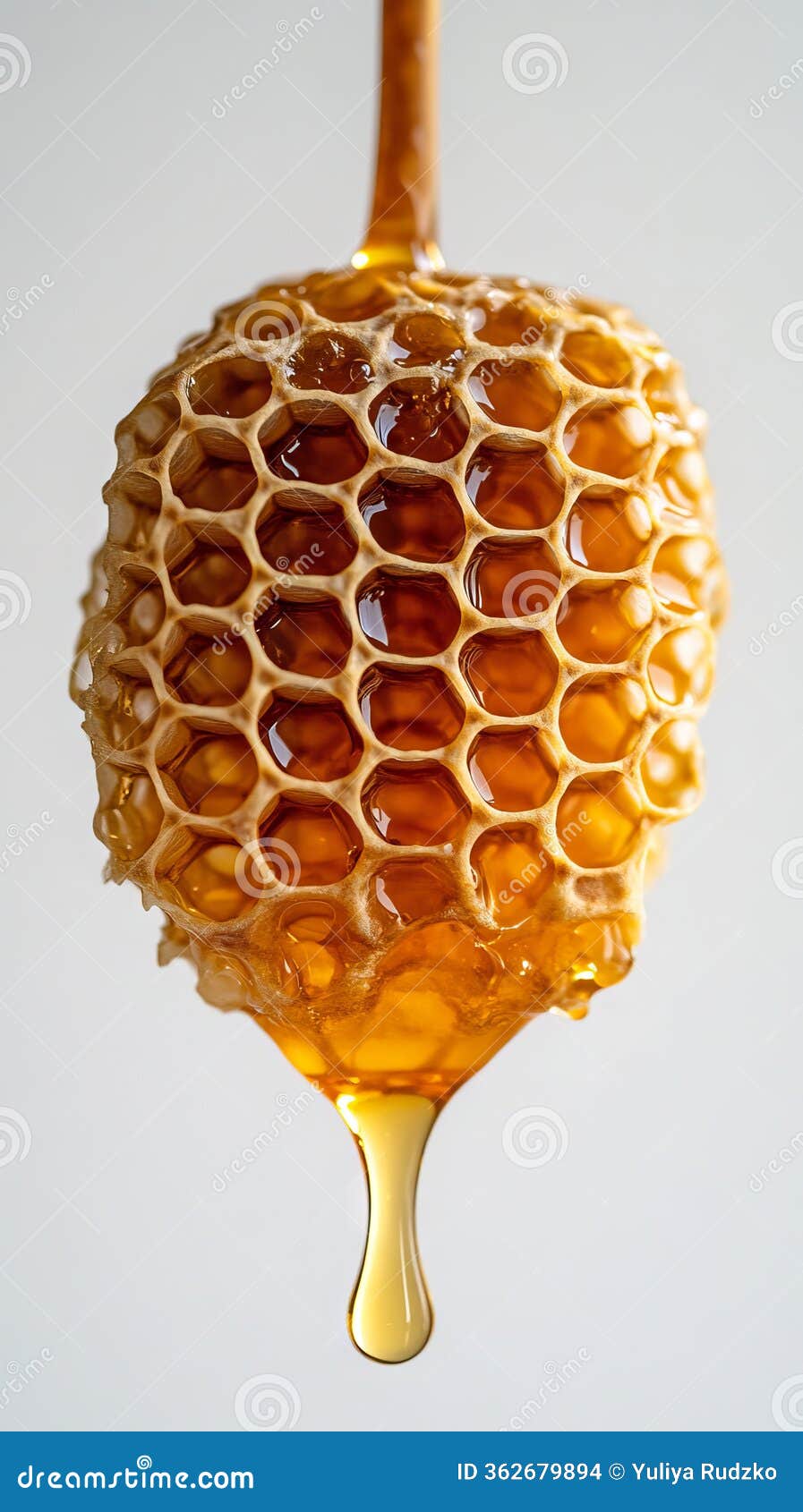 Floating Honeycomb with Honey-dripping Cells, Set Against a Light ...