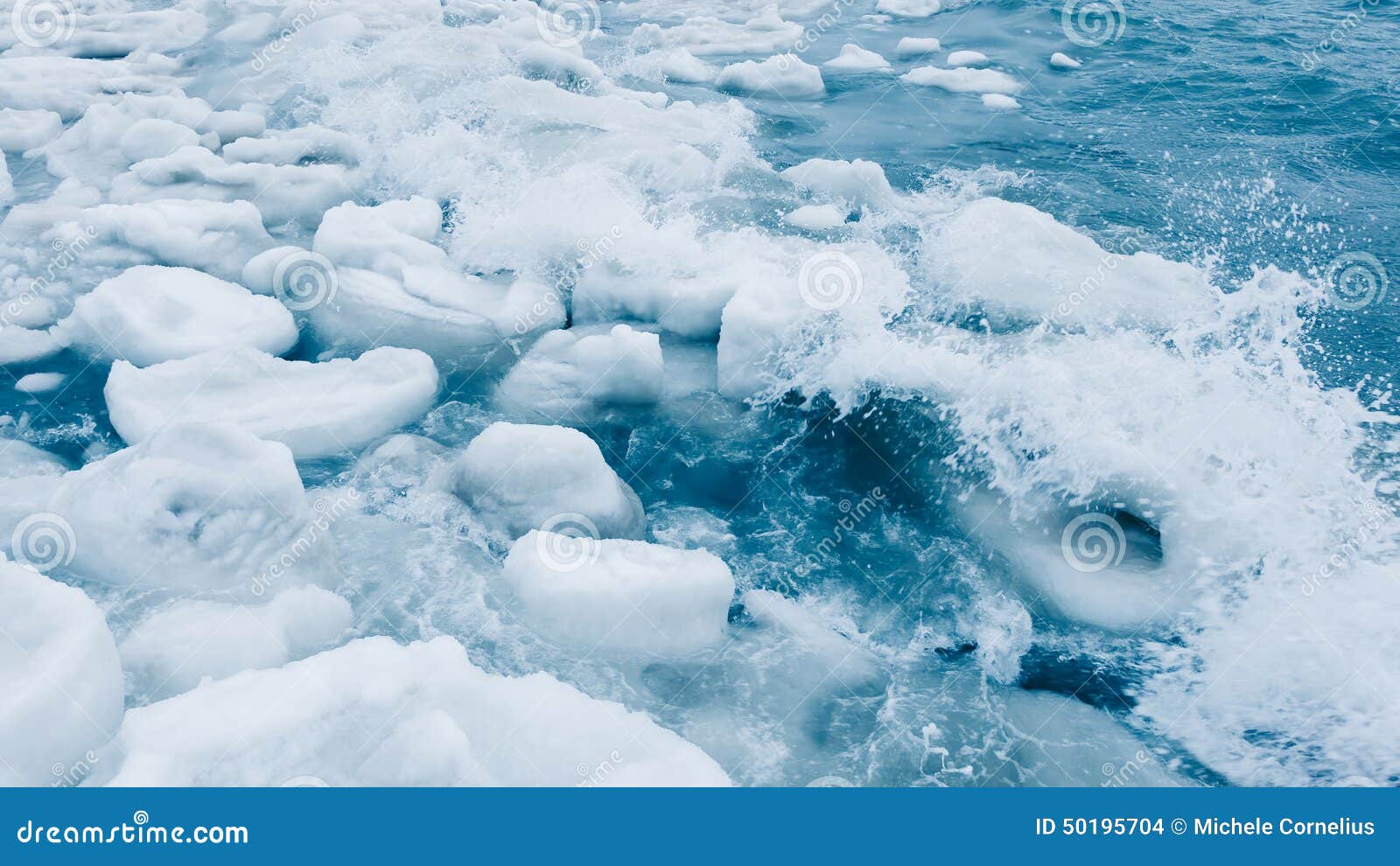 Floating Ice Chunks stock photo. Image of waves, cold - 50195704