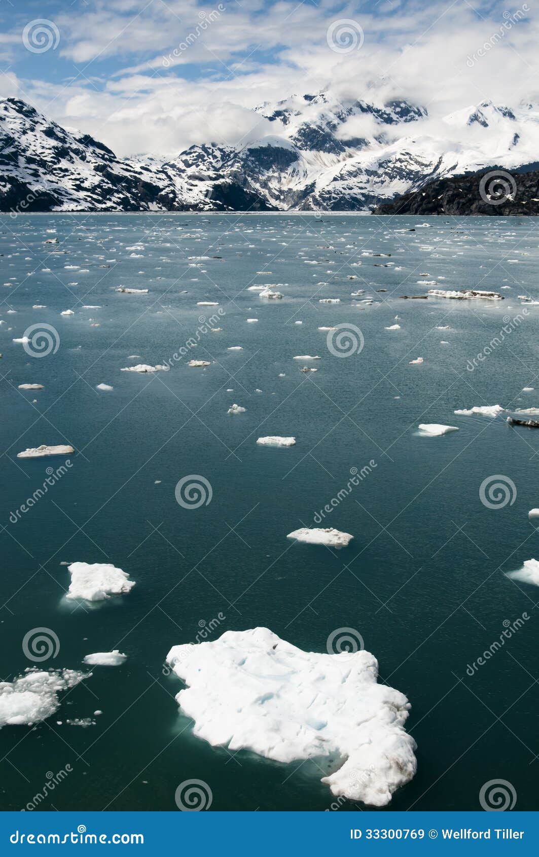 Floating Ice in Glacier Bay, Alaska Stock Image - Image of field ...