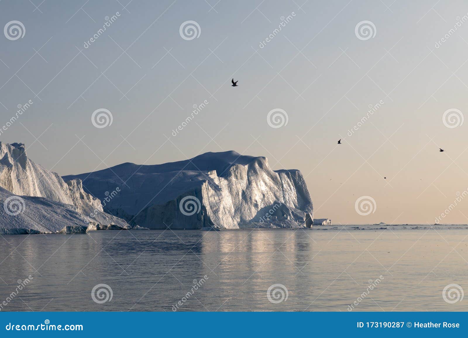 Floating Icebergs in Disko Bay during the Midnight Sun Stock Image ...