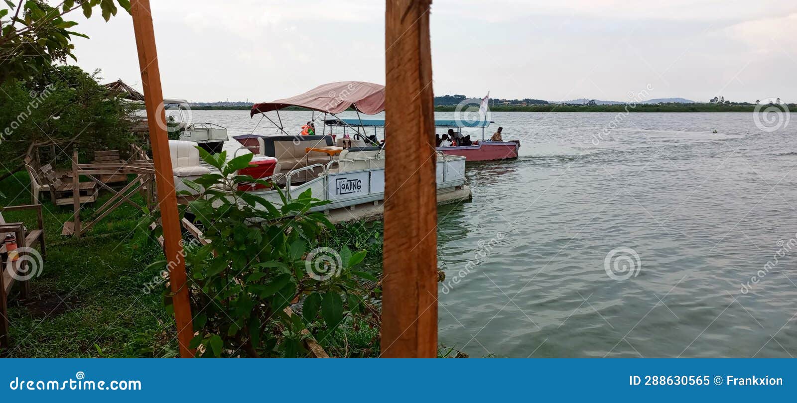 Floating Island Lake Victoria Editorial Image - Image of victoria ...