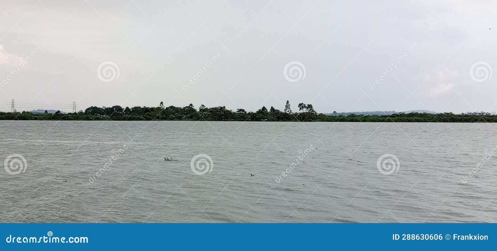 The Floating Island of Lake Victoria Stock Photo - Image of victi ...
